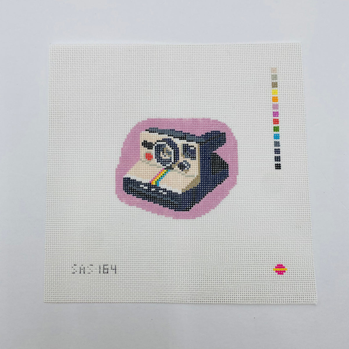 Instant Camera Canvas – KC Needlepoint
