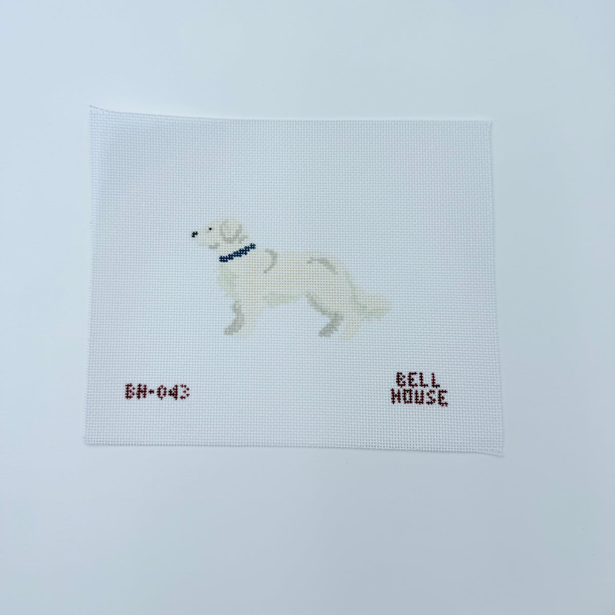 English Cream Golden Retriever Canvas – KC Needlepoint
