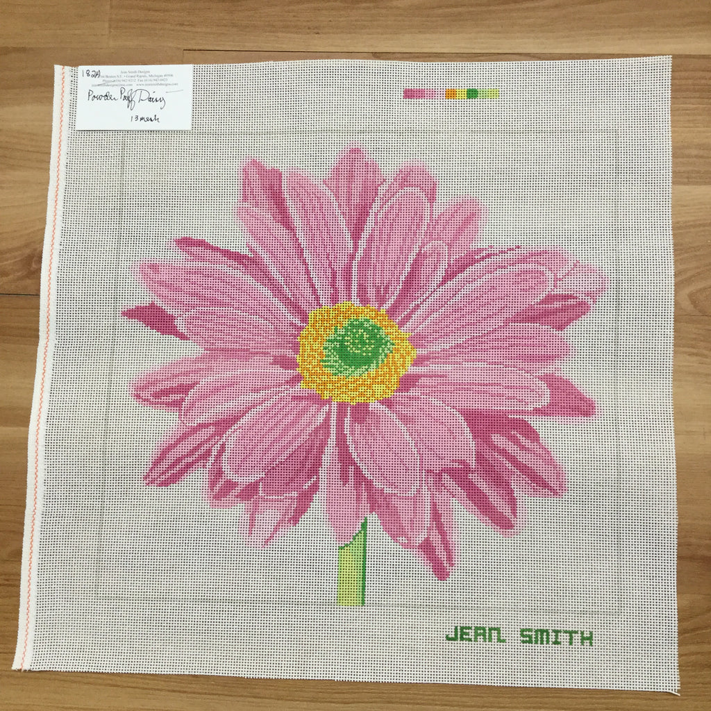 Powder Puff Daisy Canvas | KC Needlepoint